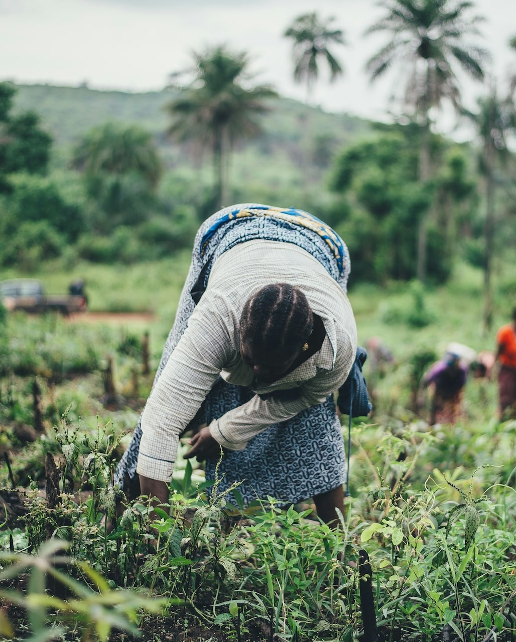 Katapult Africa | Accelerating Climate Tech in Africa | Katapult