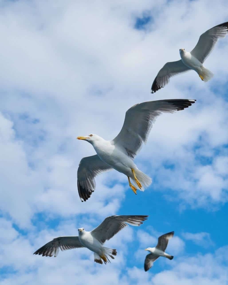 Accelerator | Accelerating Impact tech | Katapult