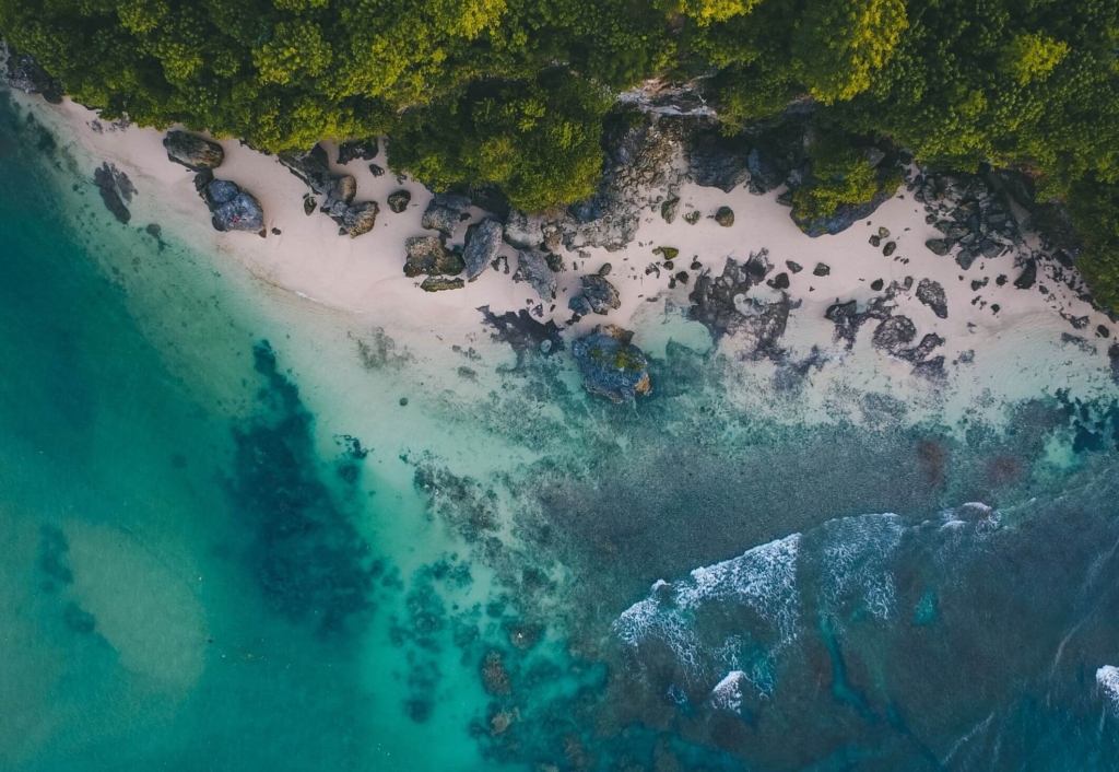 Impact Katapult Ocean Accelerator | Katapult