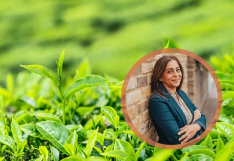 Katapult, Mauritius and agricultural innovation | Katapult