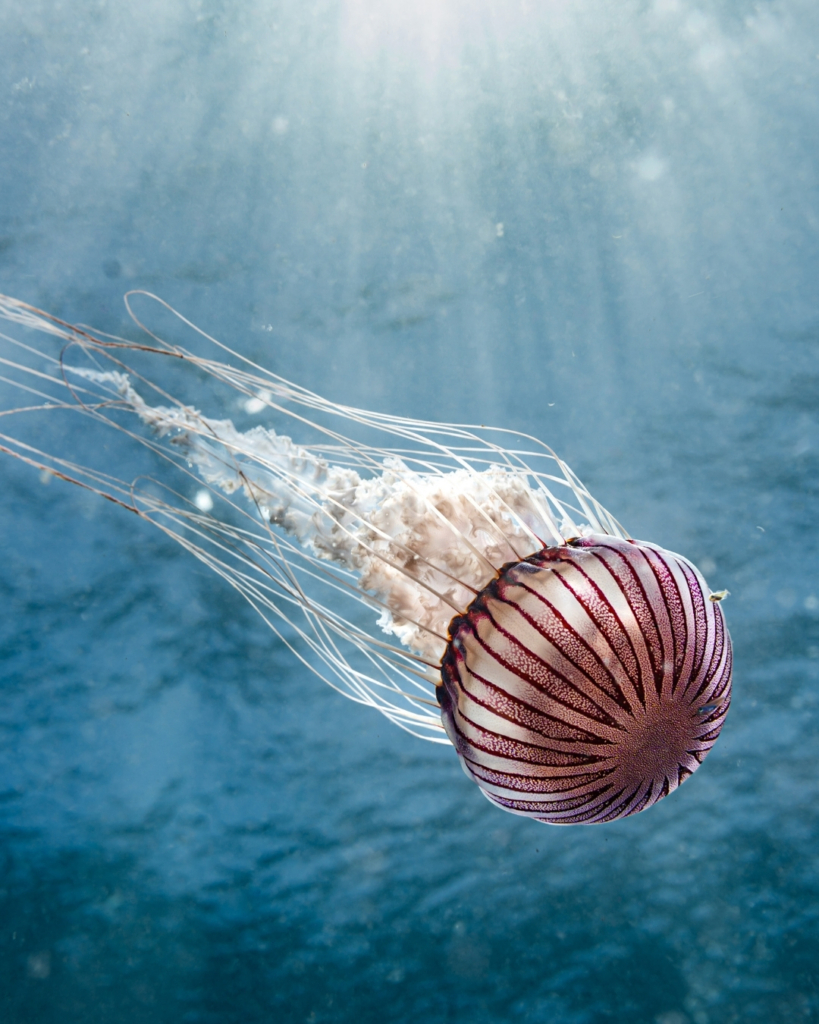 Accelerator | Accelerating Impact tech | Katapult