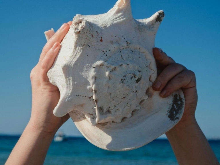 OCTAVE Capital and Katapult Ocean Launch Asia’s Largest US$75 Million ...