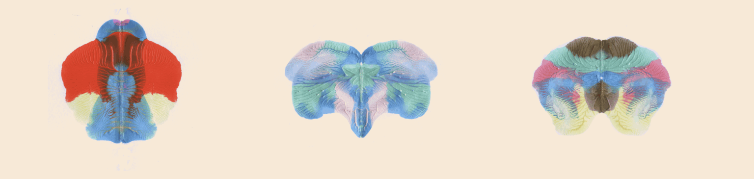 Katapult Future Fest 2026 | Katapult